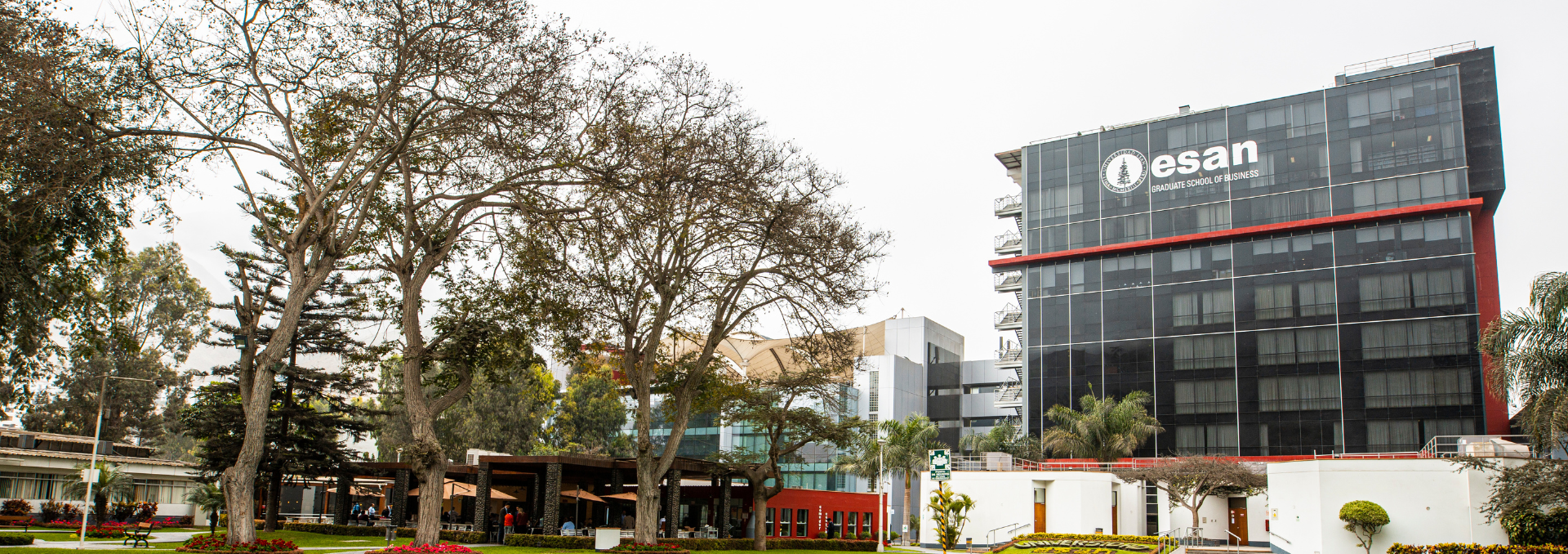 Descubre tu futuro en el Open Day ESAN 2025 - Esan University